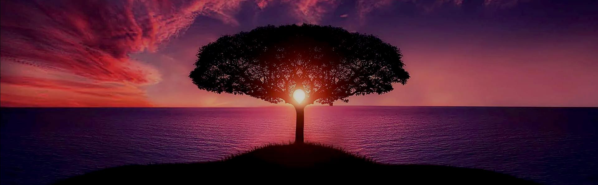 The Wellspring of Good | Absolute Happiness