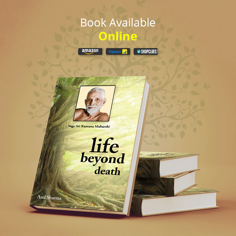 Life Beyond Death Archives | Absolute Happiness